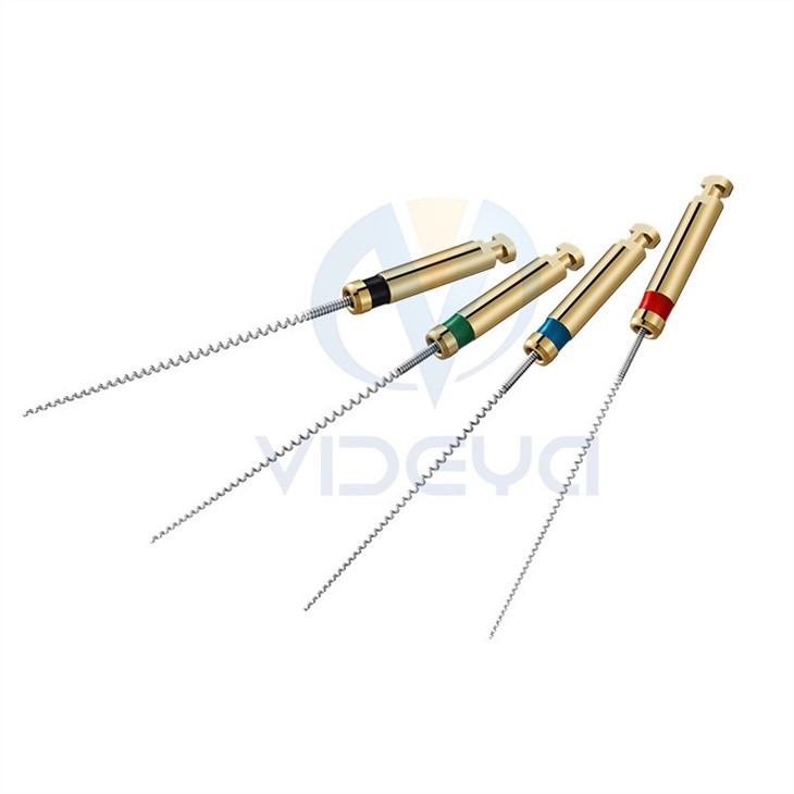 Paste Carries_Root Canal Files_Endodontic_Products_Huizhou Videya ...